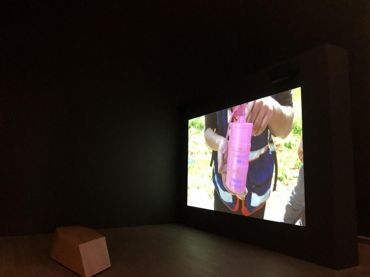 Model Zoo: Introspecting the Algorithm | de Young Content Server